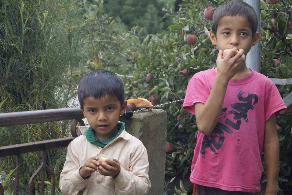 Learn With Thiya – Thiya-The Himalayan Farm